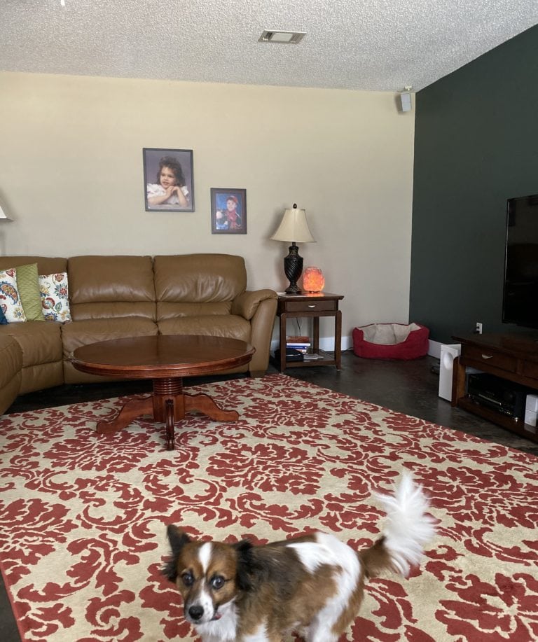 Exciting DIY Room Makeover with Chic Farmhouse Look - Redneck Rhapsody